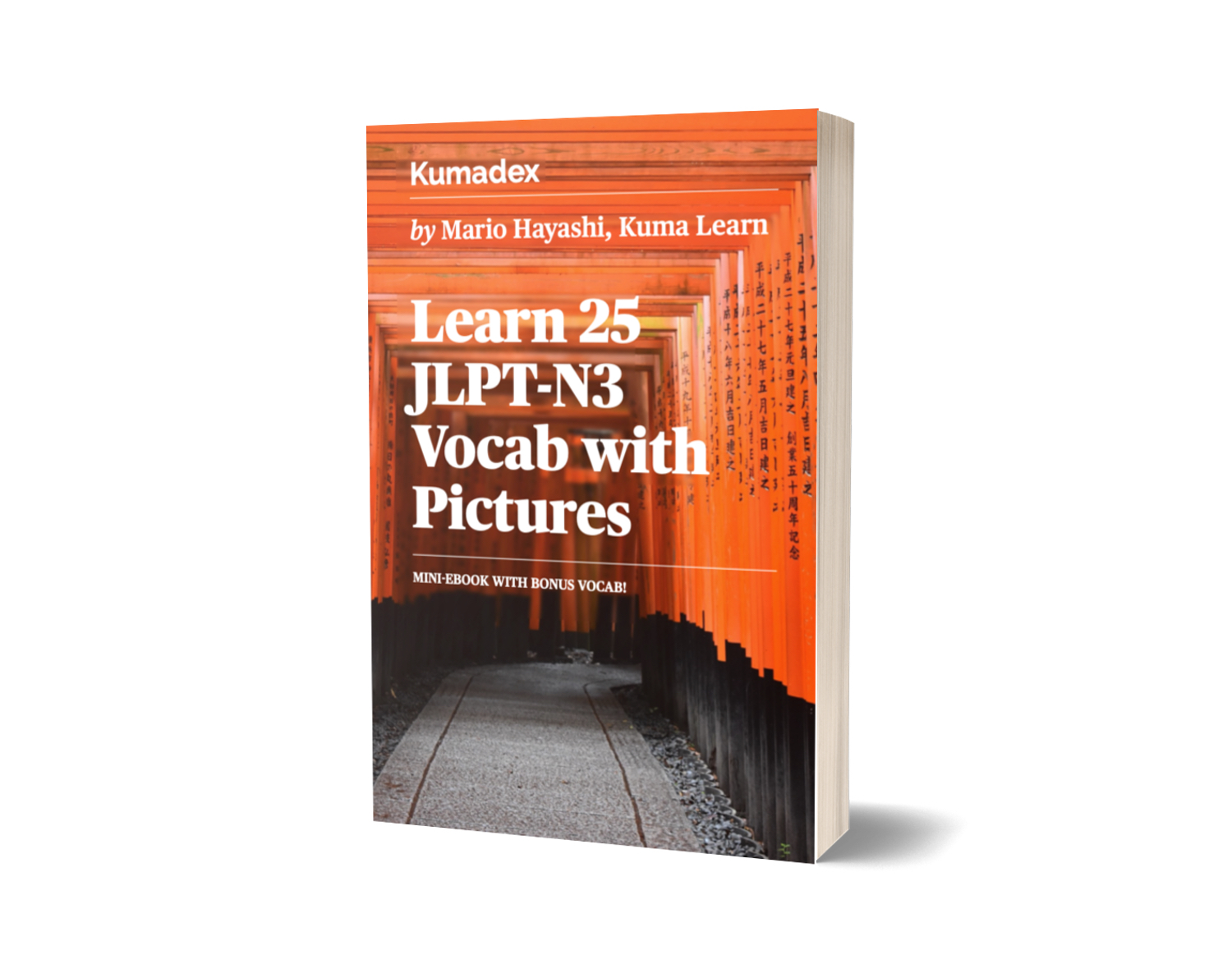 Kuma Learn - 25 JLPT-N3 Japanese vocab with pictures eBook